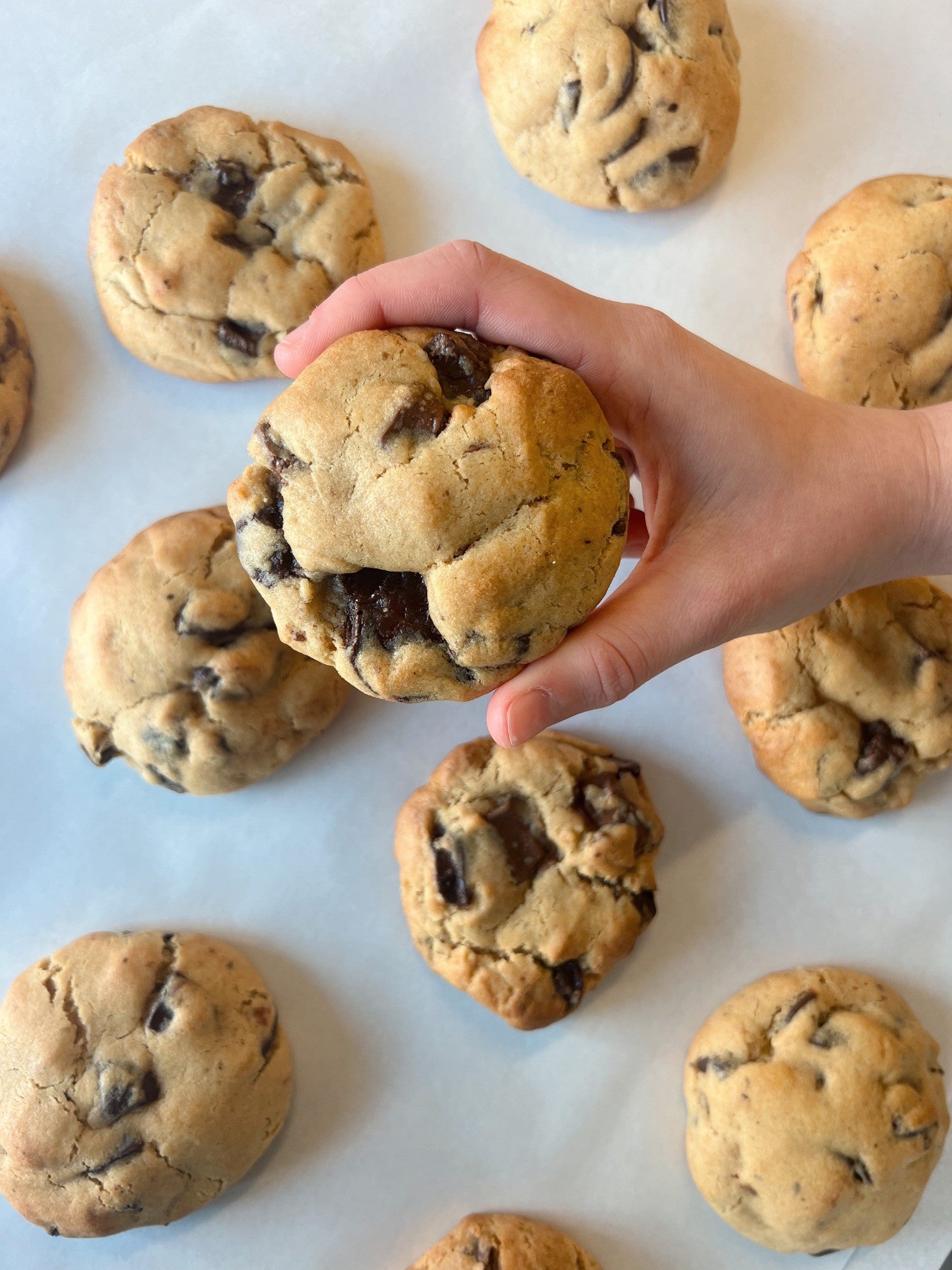 Bulk Chunky Cookies – The Cookie Collective NZ